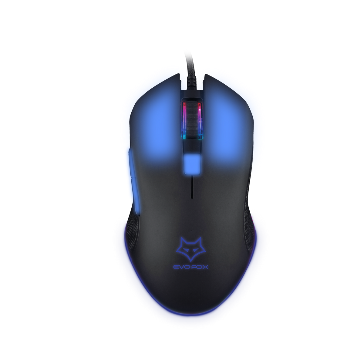 EvoFox X Team Gaming Keybaord And Mouse – Amkette