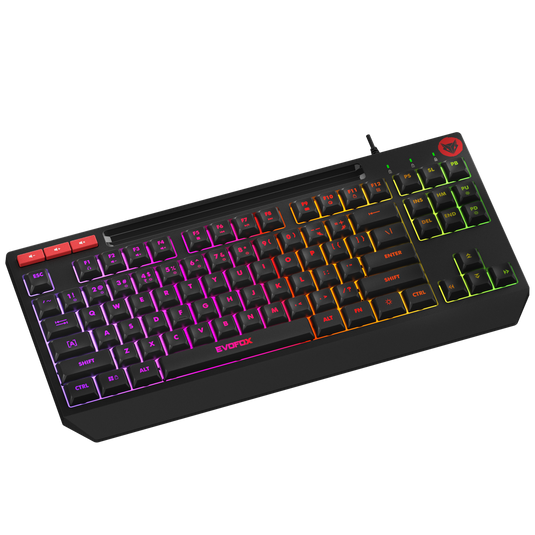 Gaming Keyboards – Amkette