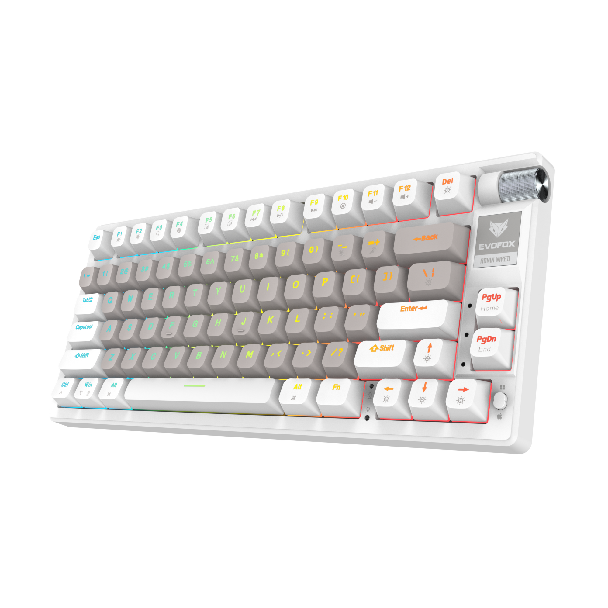 EvoFox Ronin TKL Wired Mechanical Keyboard – Amkette
