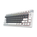 EvoFox Ronin TKL Wireless Mechanical Keyboard – Amkette