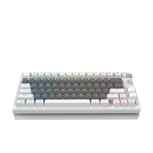 EvoFox Ronin TKL Wireless Mechanical Keyboard – Amkette