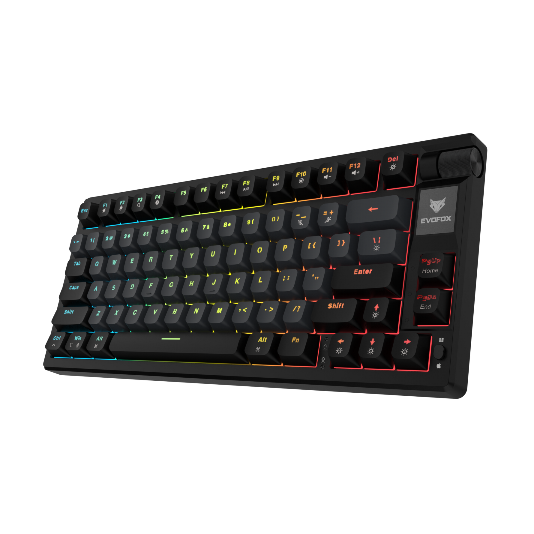 EvoFox Ronin TKL Wired Mechanical Keyboard – Amkette