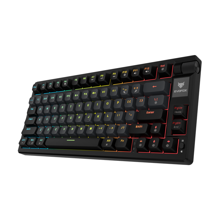 Gaming Keyboards – Amkette