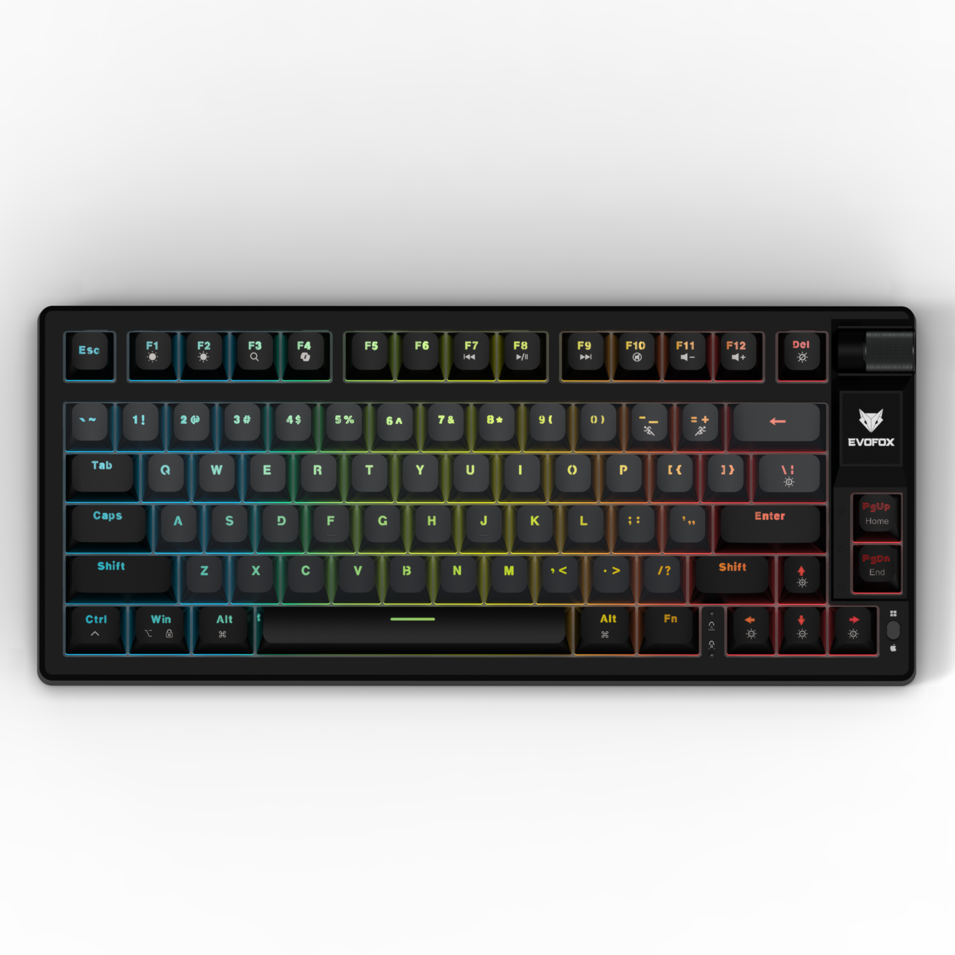 EvoFox Ronin TKL Wired Mechanical Keyboard – Amkette
