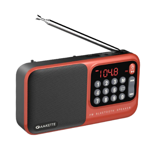 Pocket Mate Bluetooth with FM – Amkette