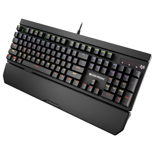 Gaming Keyboards – Amkette